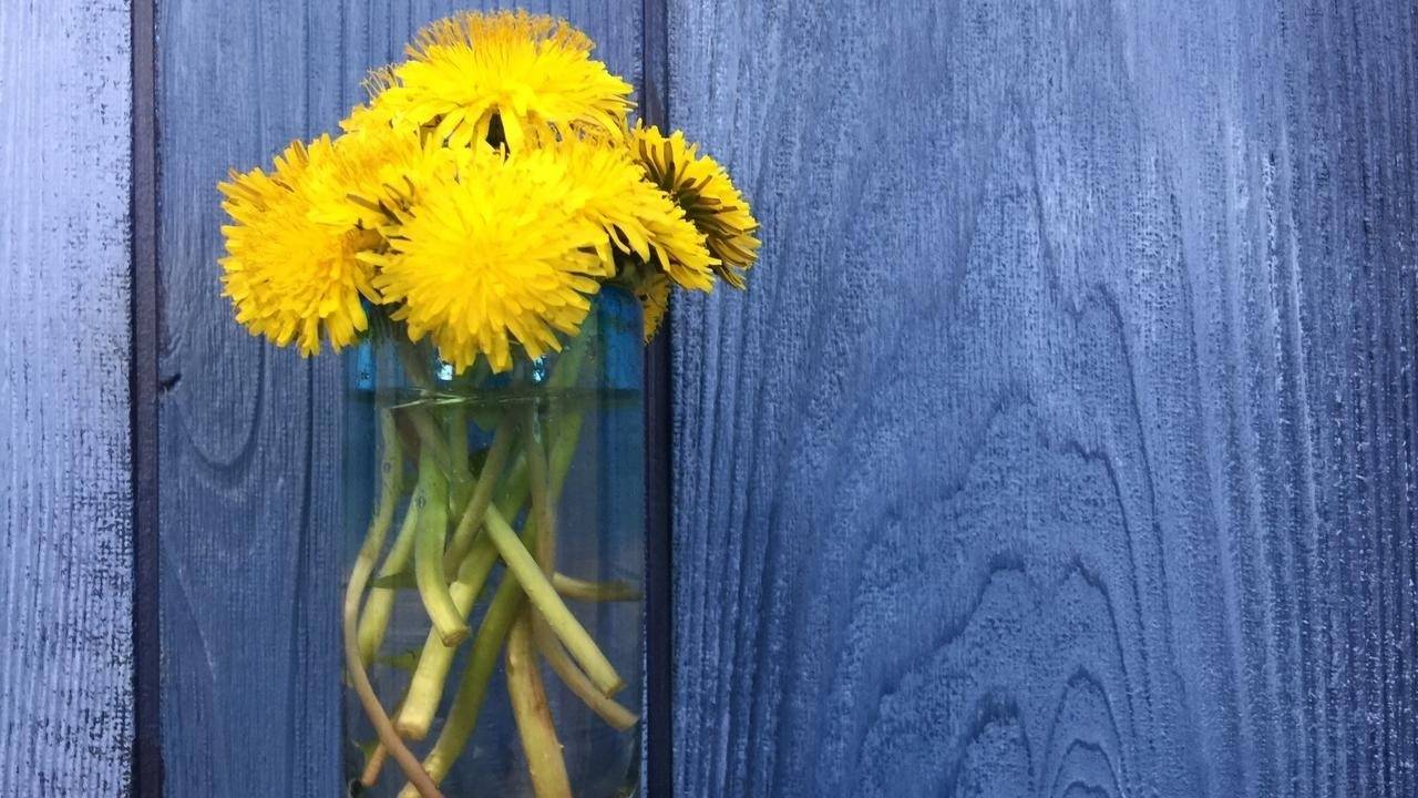 #009 Intentional Wandering - The Basic Drawing Strategy