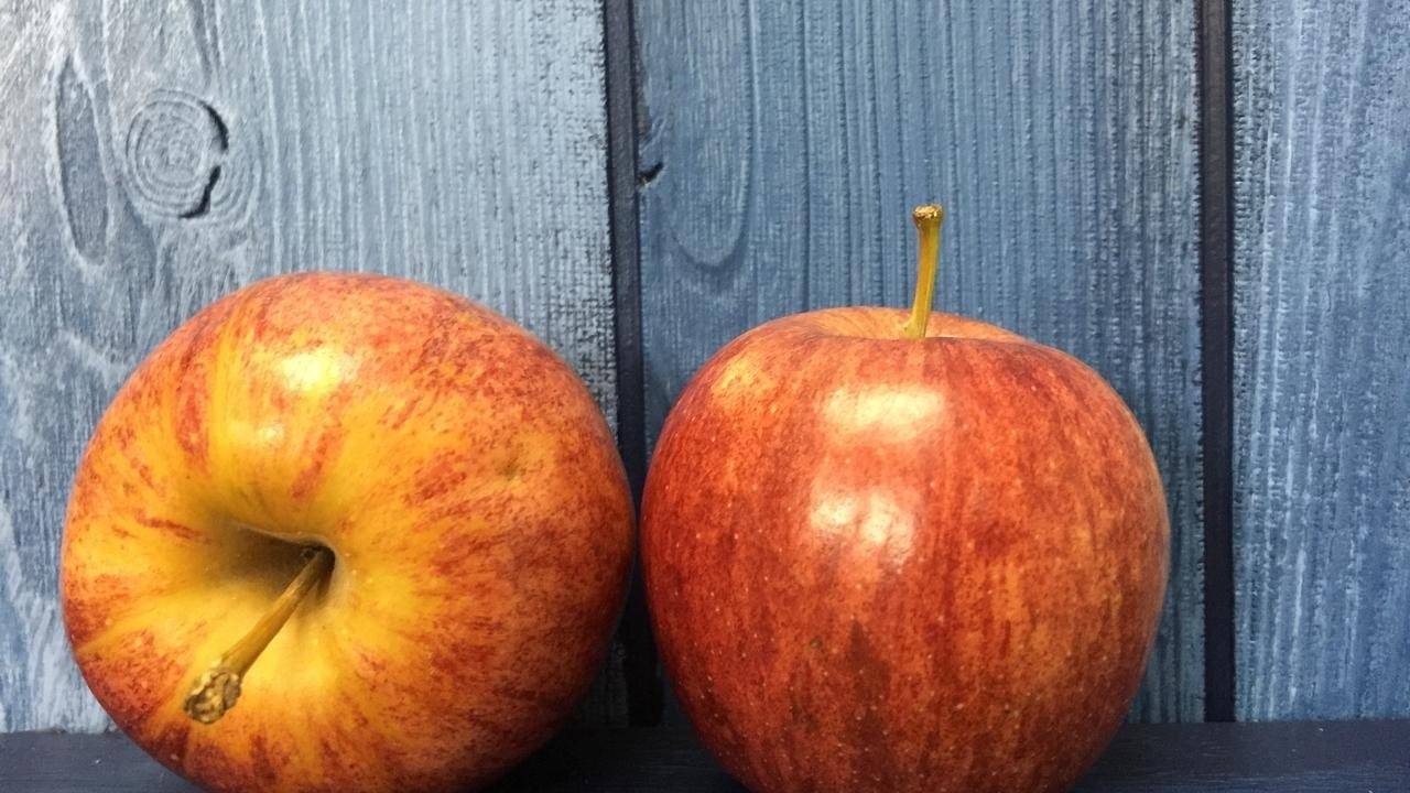 #015 Judging Our Own Drawing - The Trick to Overlapping Objects