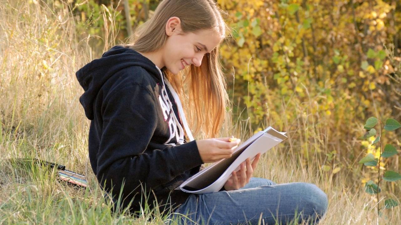 The Artist's First Steps to Drawing and Painting