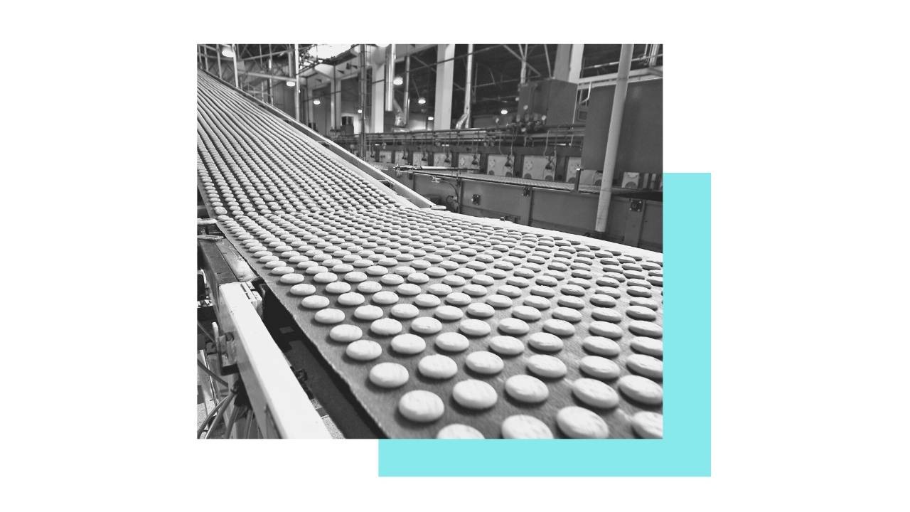 What I learnt working in a cake factory