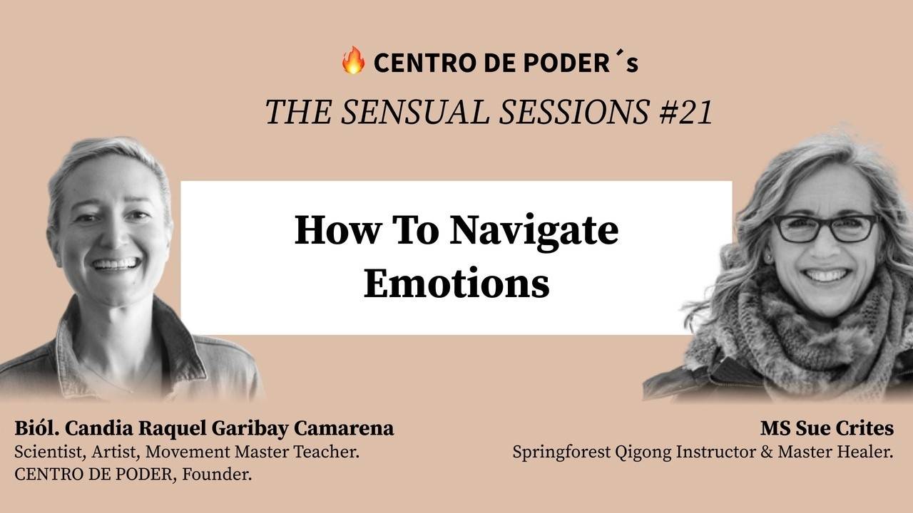 #21 How To Navigate Emotions — Sue Crites