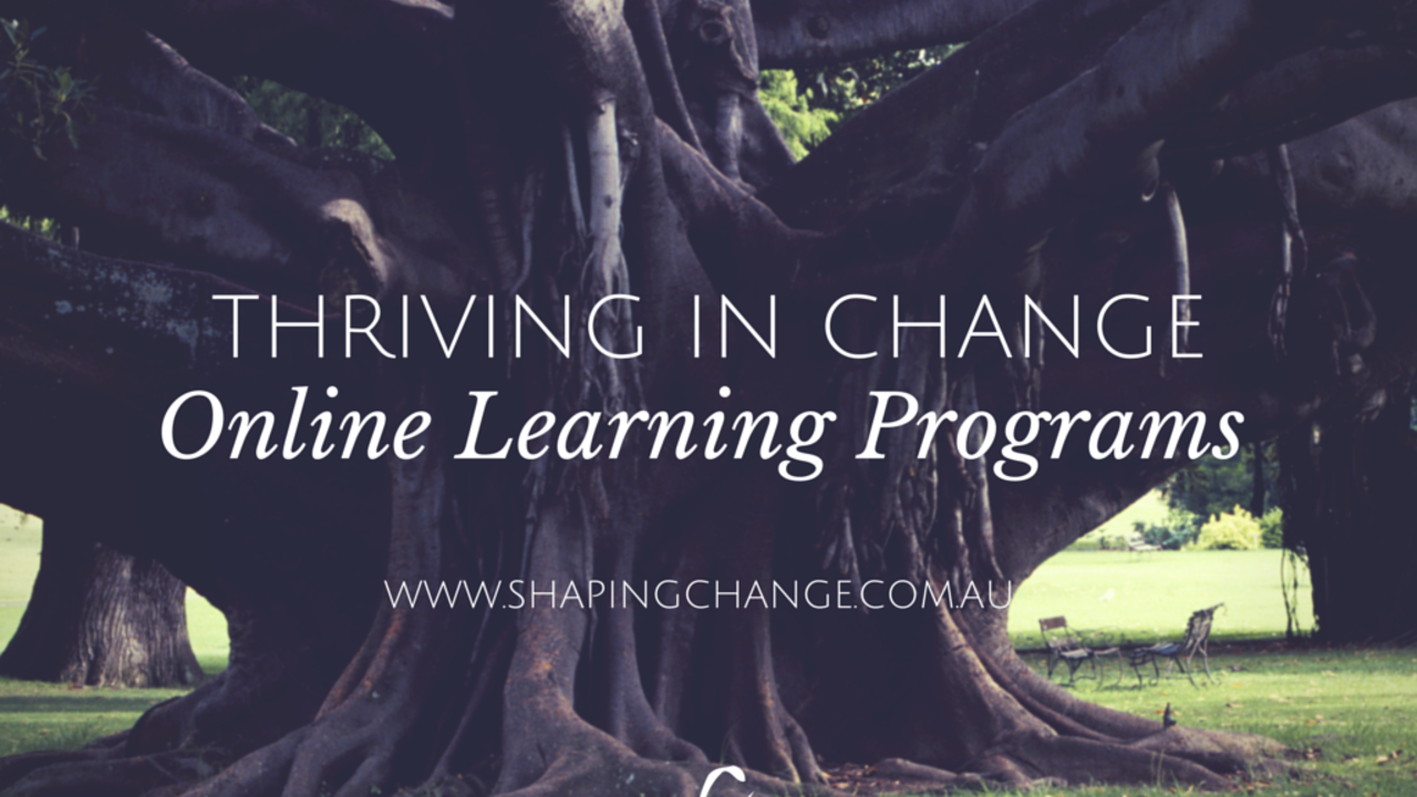 Shaping Change
