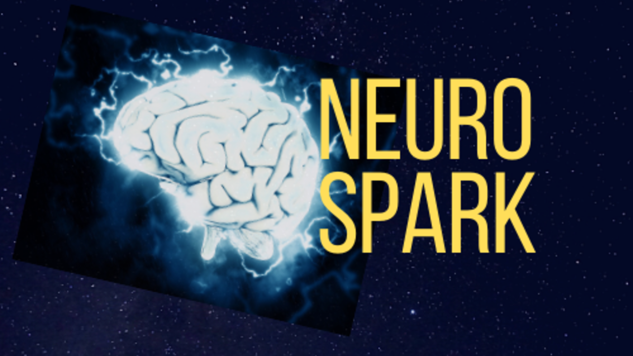 Neuro Spark Network