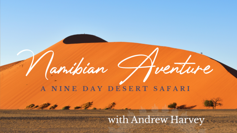 The Institute for Sacred Activism