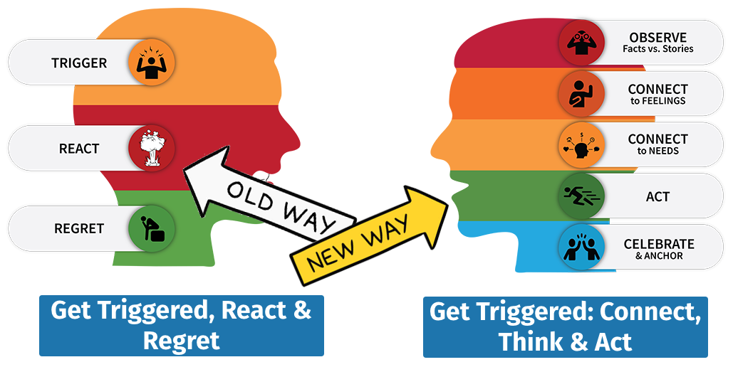 Official Site The Curiosity Theory