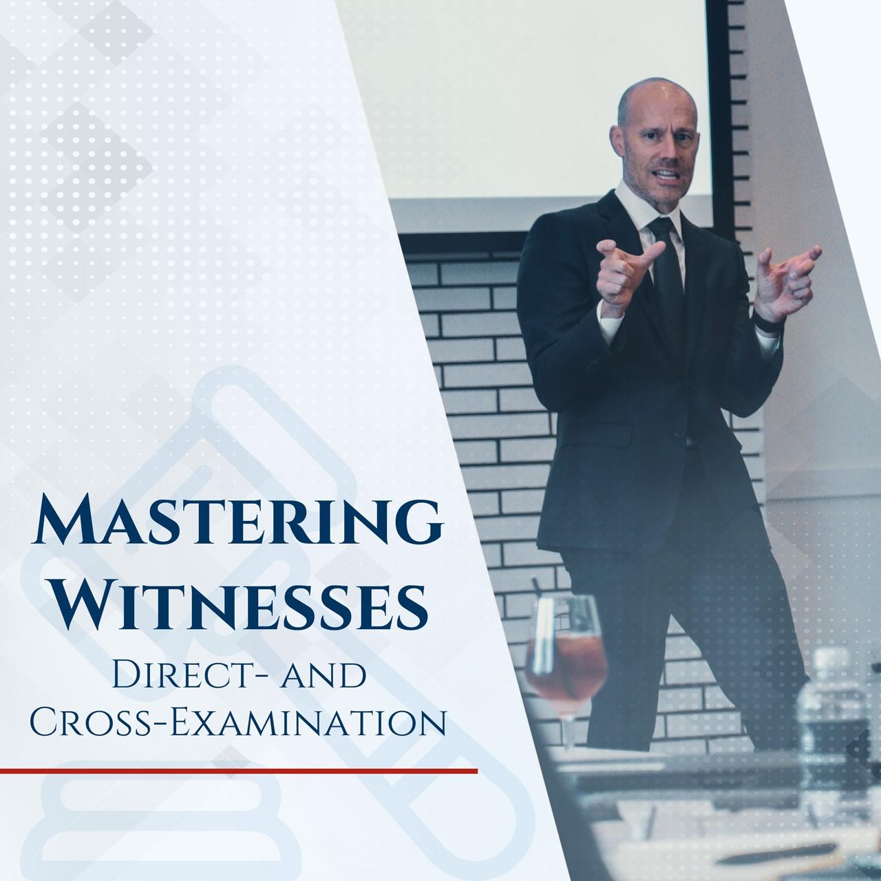 MasterClasses for Lawyers and Expert Witnesses