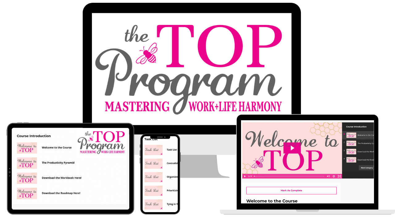 The TOP Program Overview
