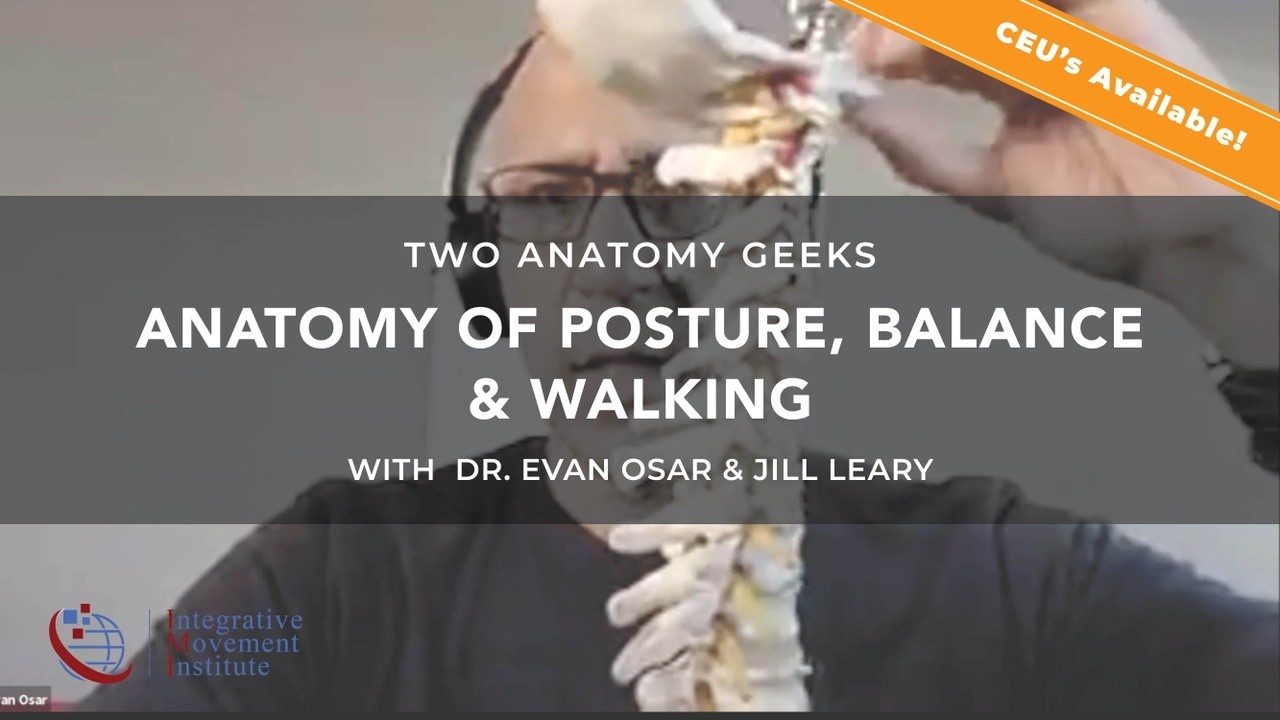 Two Anatomy Geeks - Anatomy of Posture, Balance, and Walking