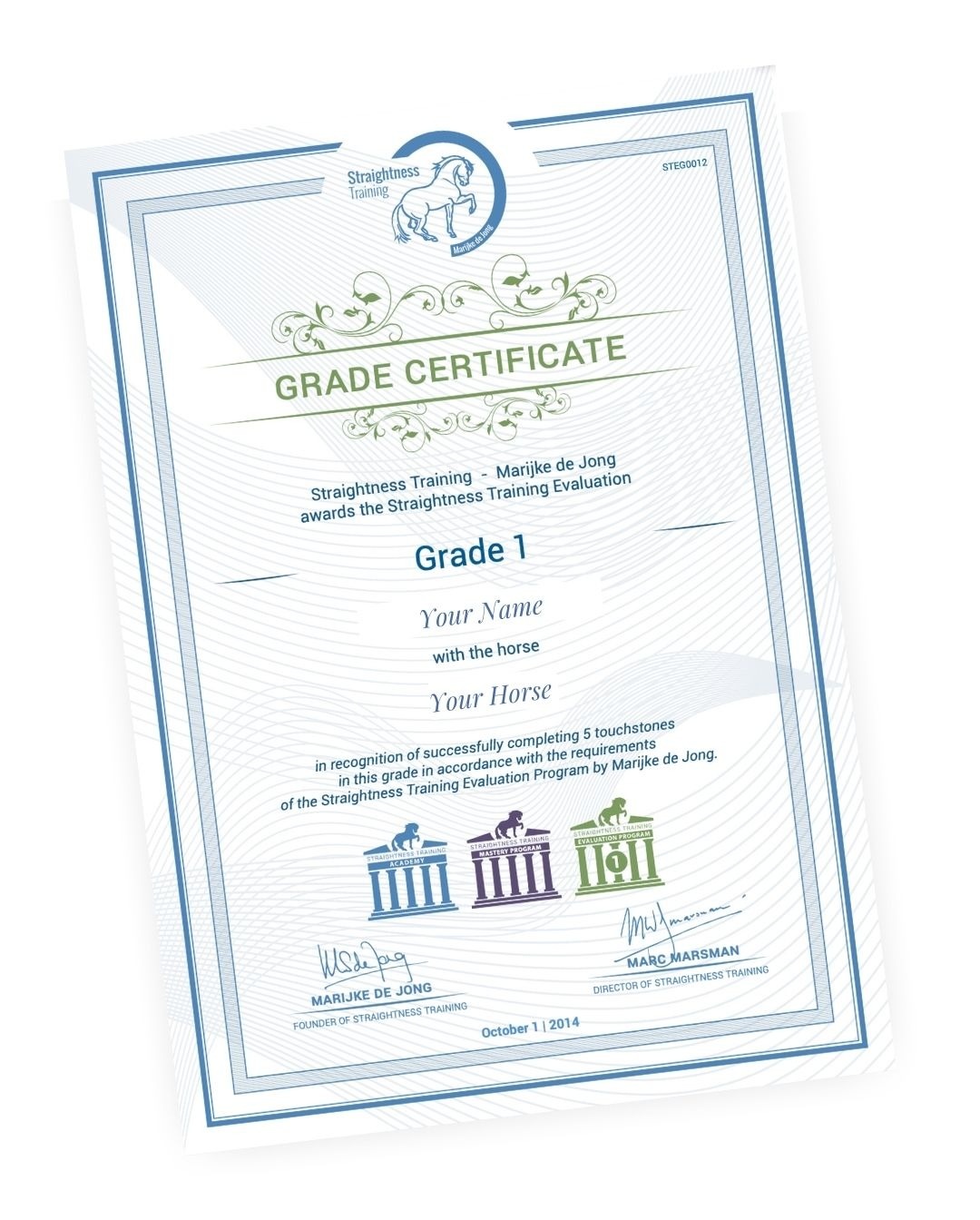 Certification Marijke De Jong s Straightness Training Academy Certification Marijke De Jong s Straightness Training Academy