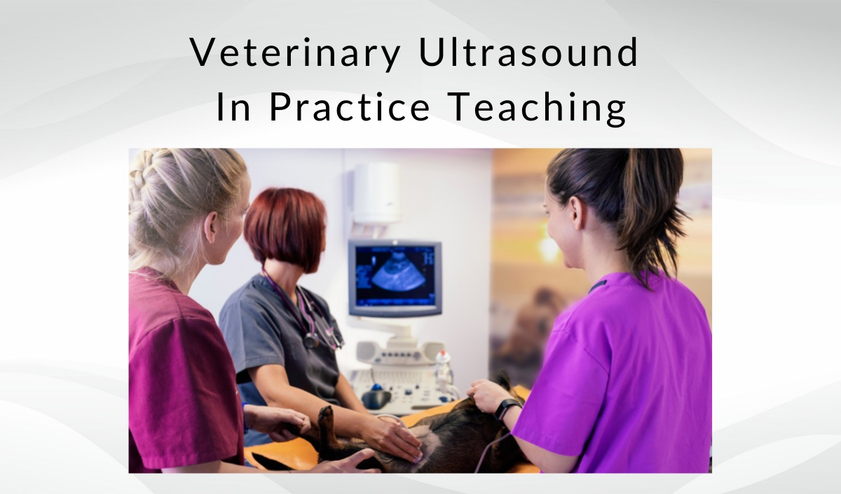 Ultrasound Courses
