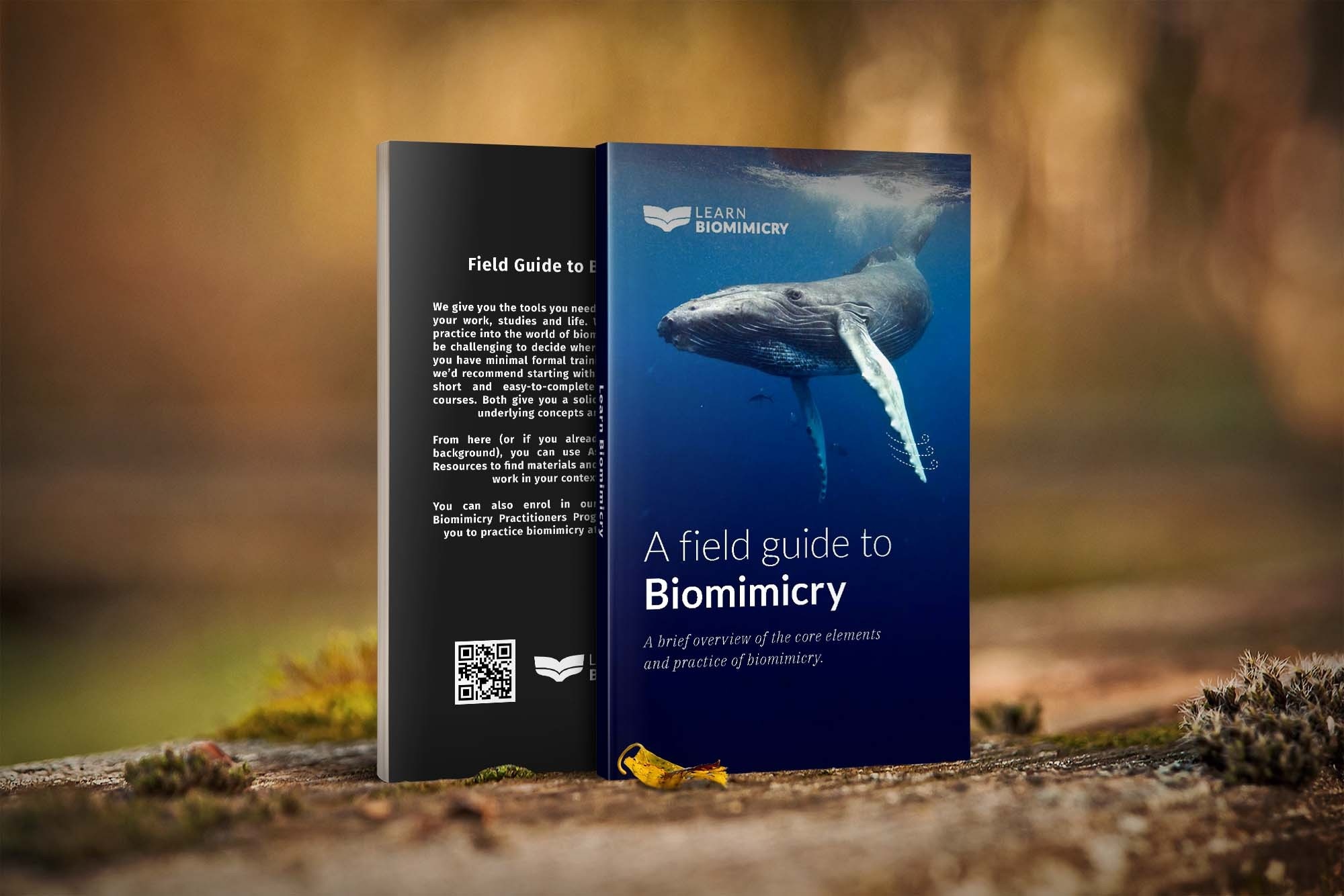 Learn Biomimicry Online
