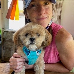 dog training obedience agility online