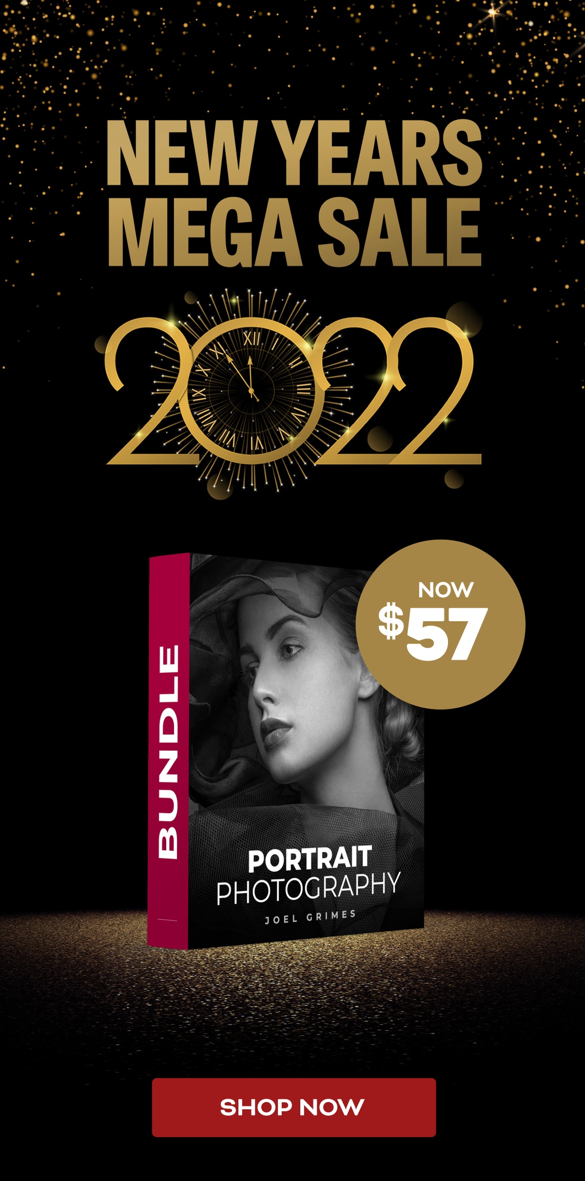 Portrait Photography Mega Bundle