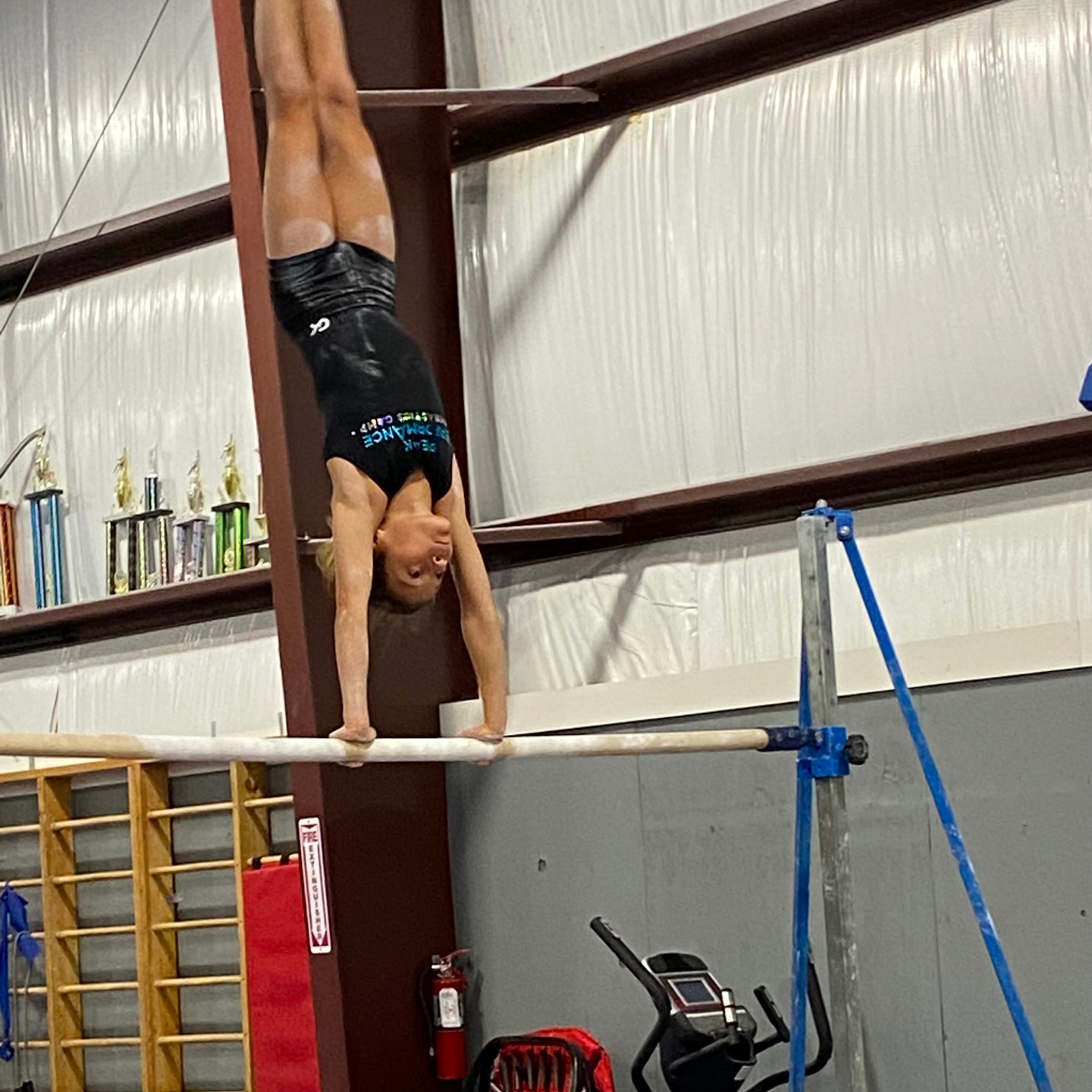Peak Performance Gymnastics Camp by The Gymnastics Doc