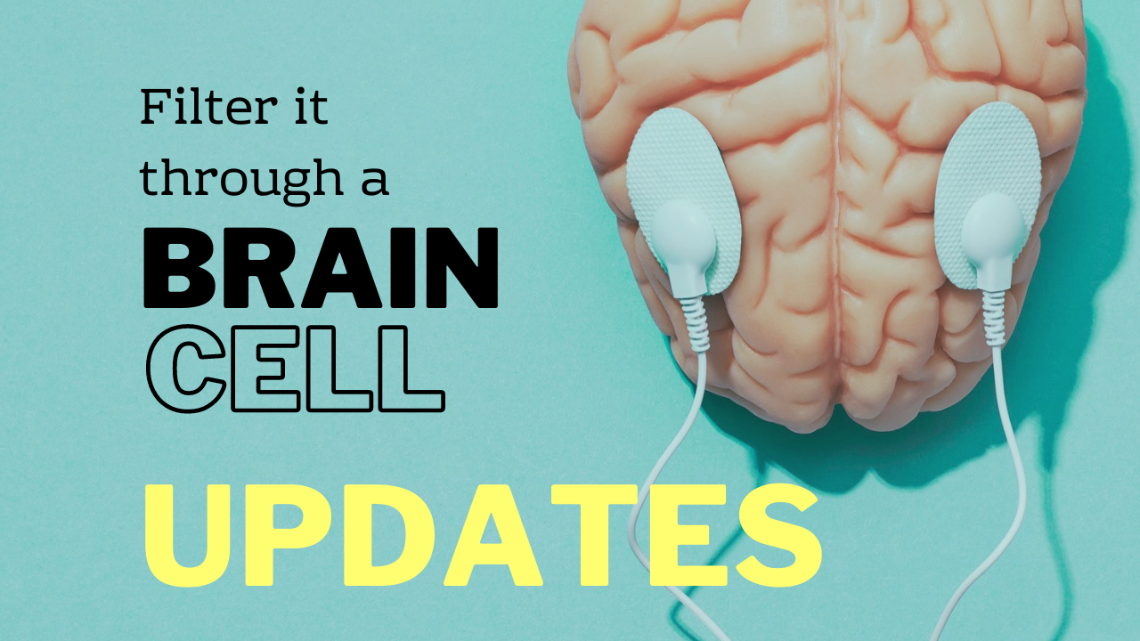 Filter It Through a Brain Cell