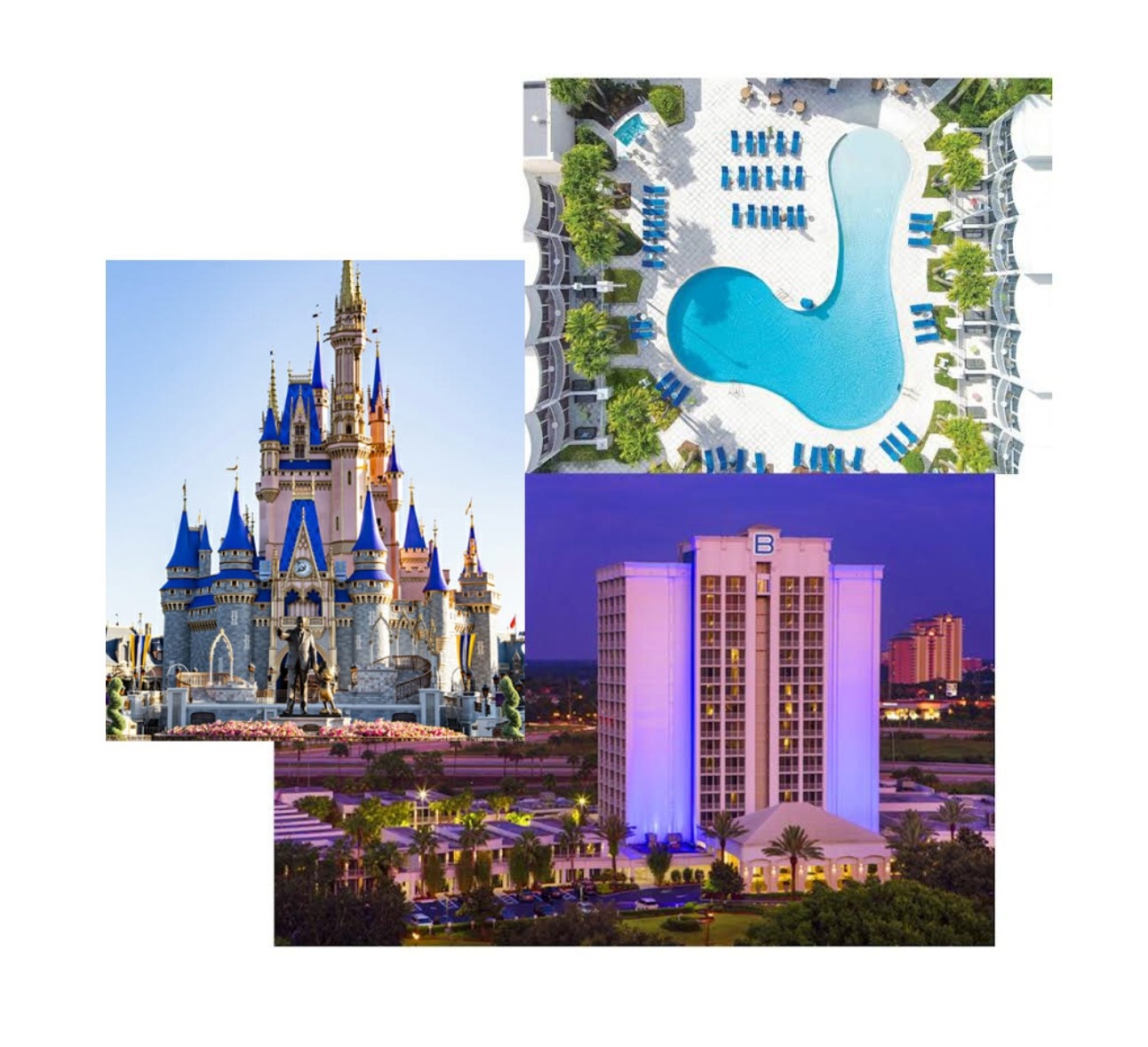 NIAQI Course & Certification