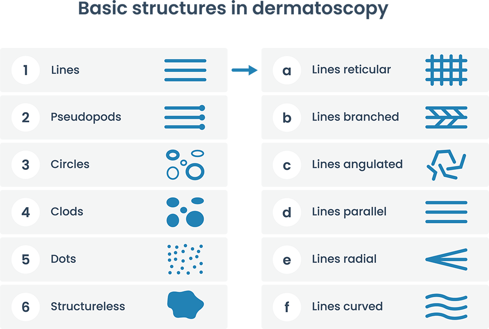 Skin Cancer Symposiums - Dermatoscopy courses and surgical training
