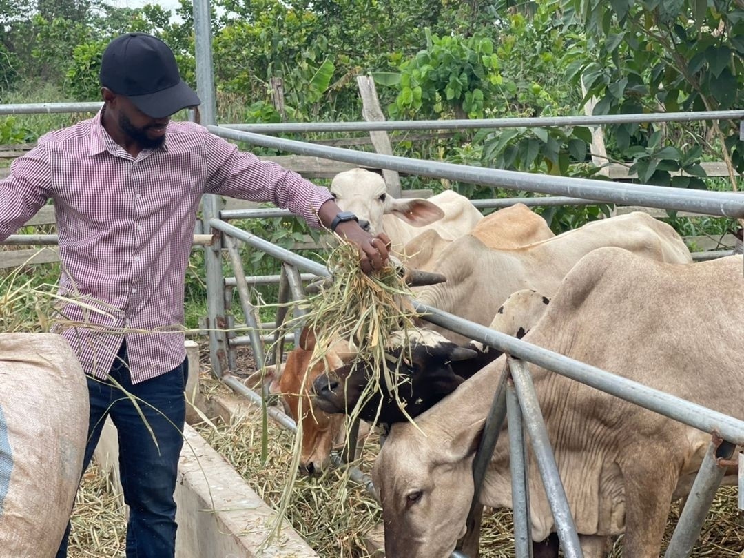 Farming In Africa