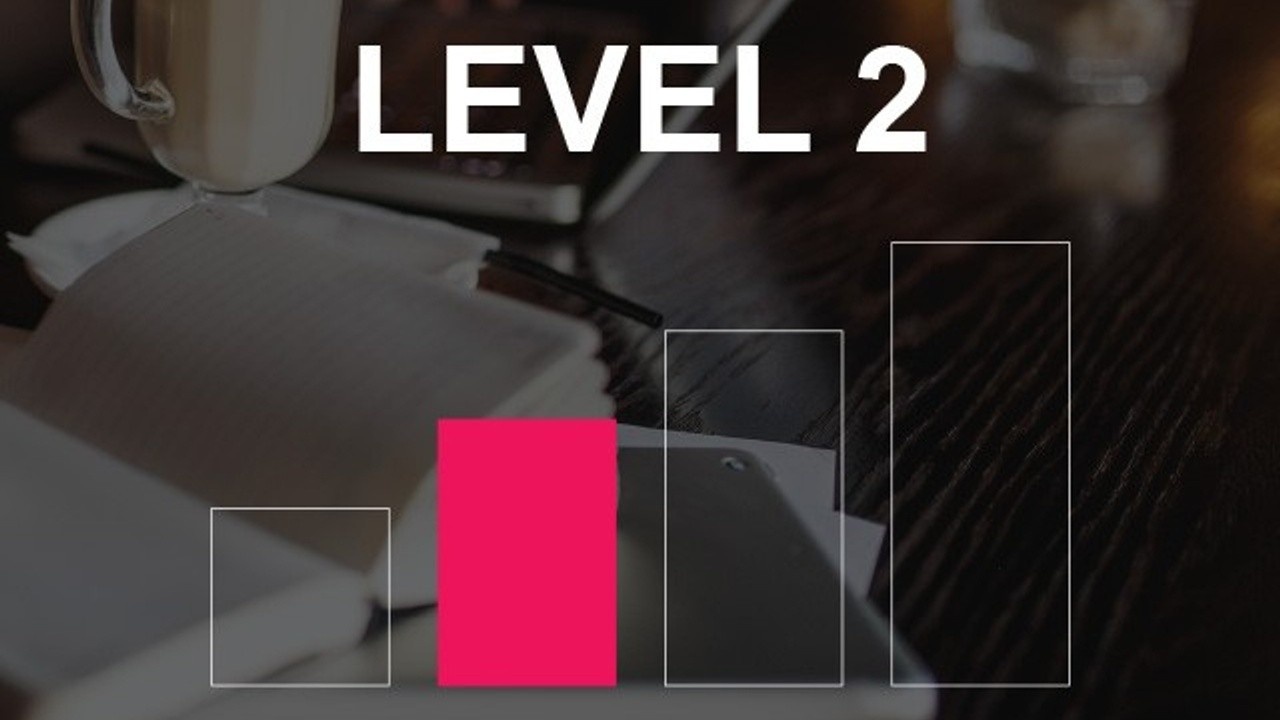 Level 2 Courses