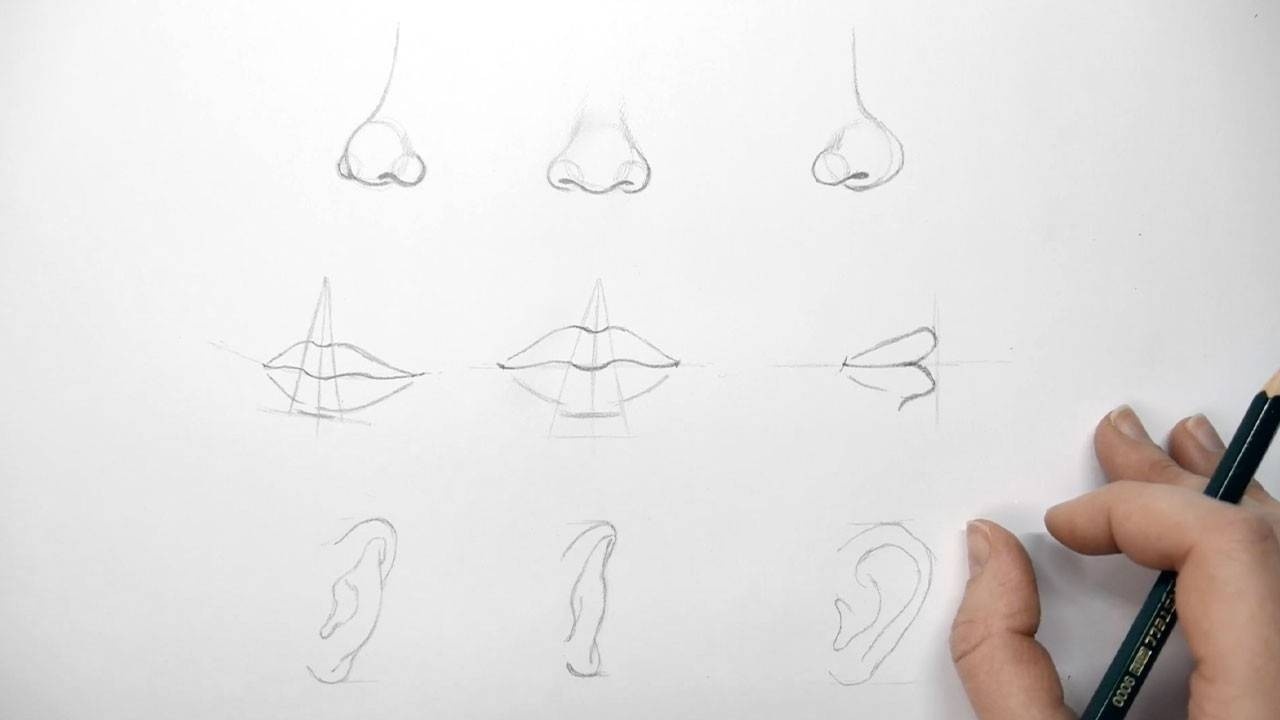 Patreon Tutorial Library