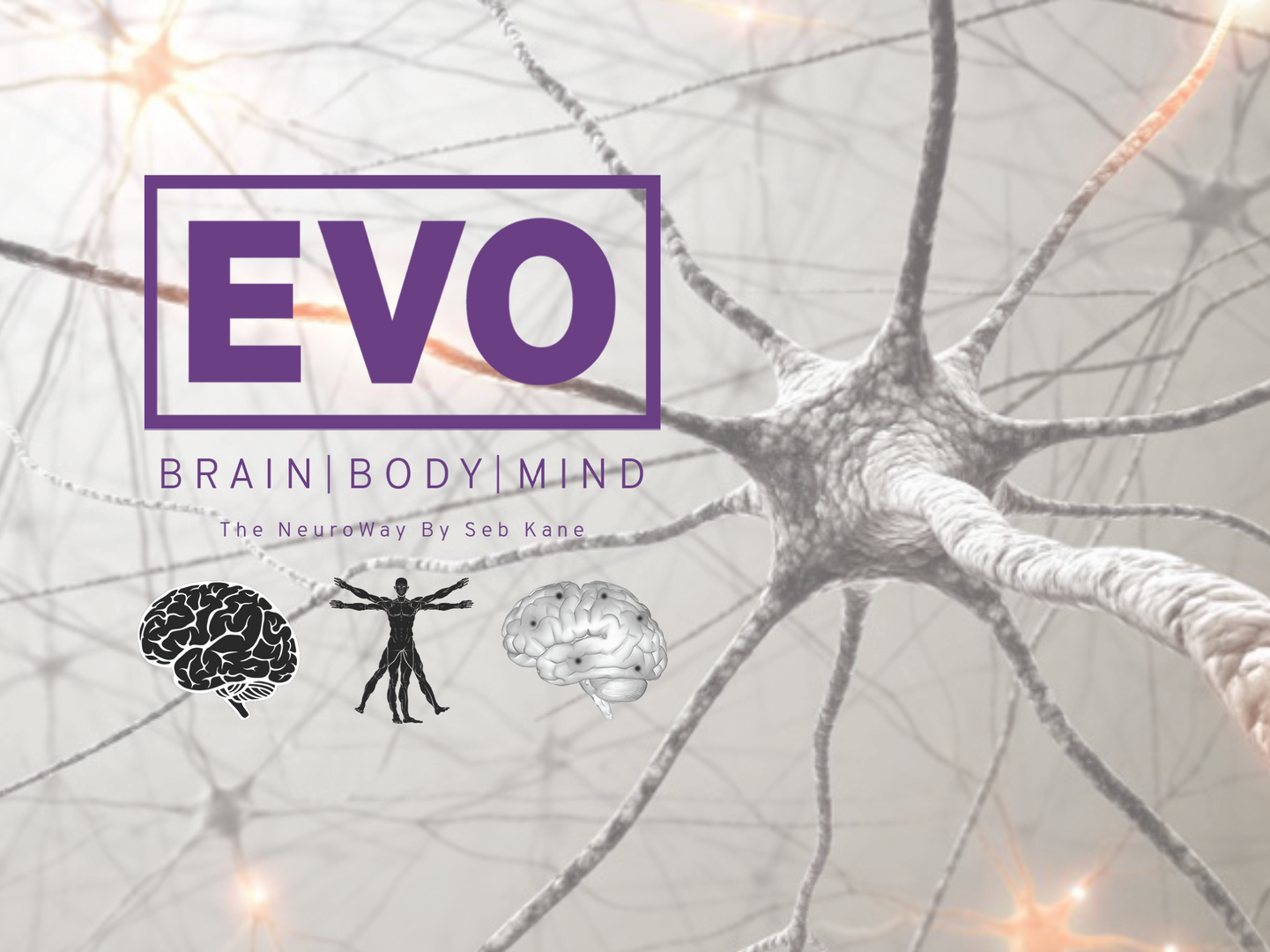 EvoBrainBodyMind