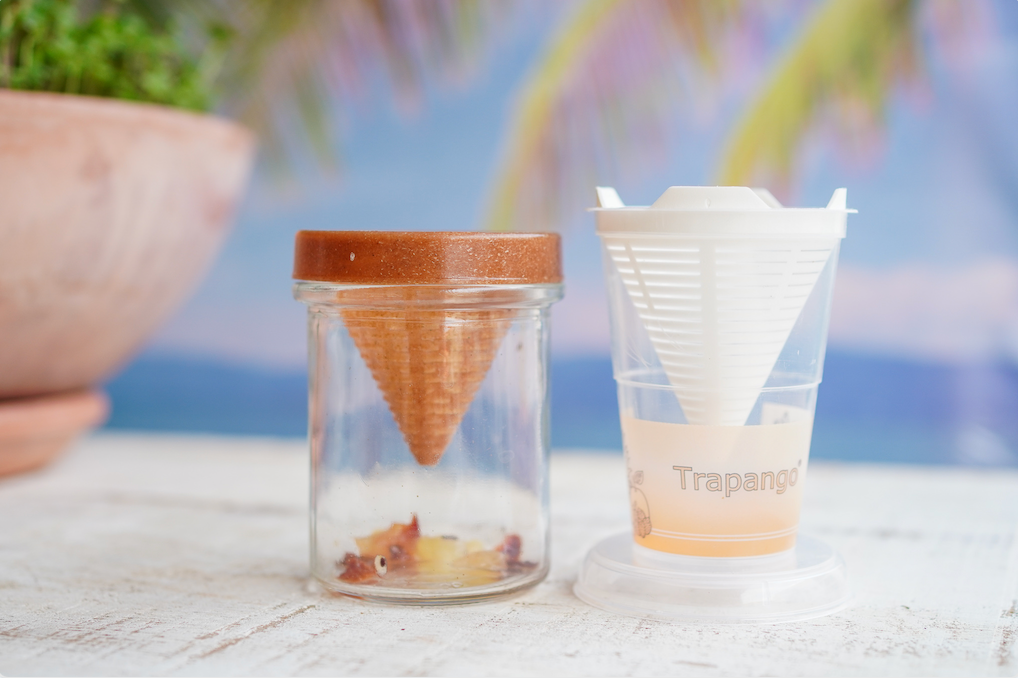 Die Fruchtfliegen-Falle FRUBBY bekommst du in diesen 2 Online-Shops mit ...