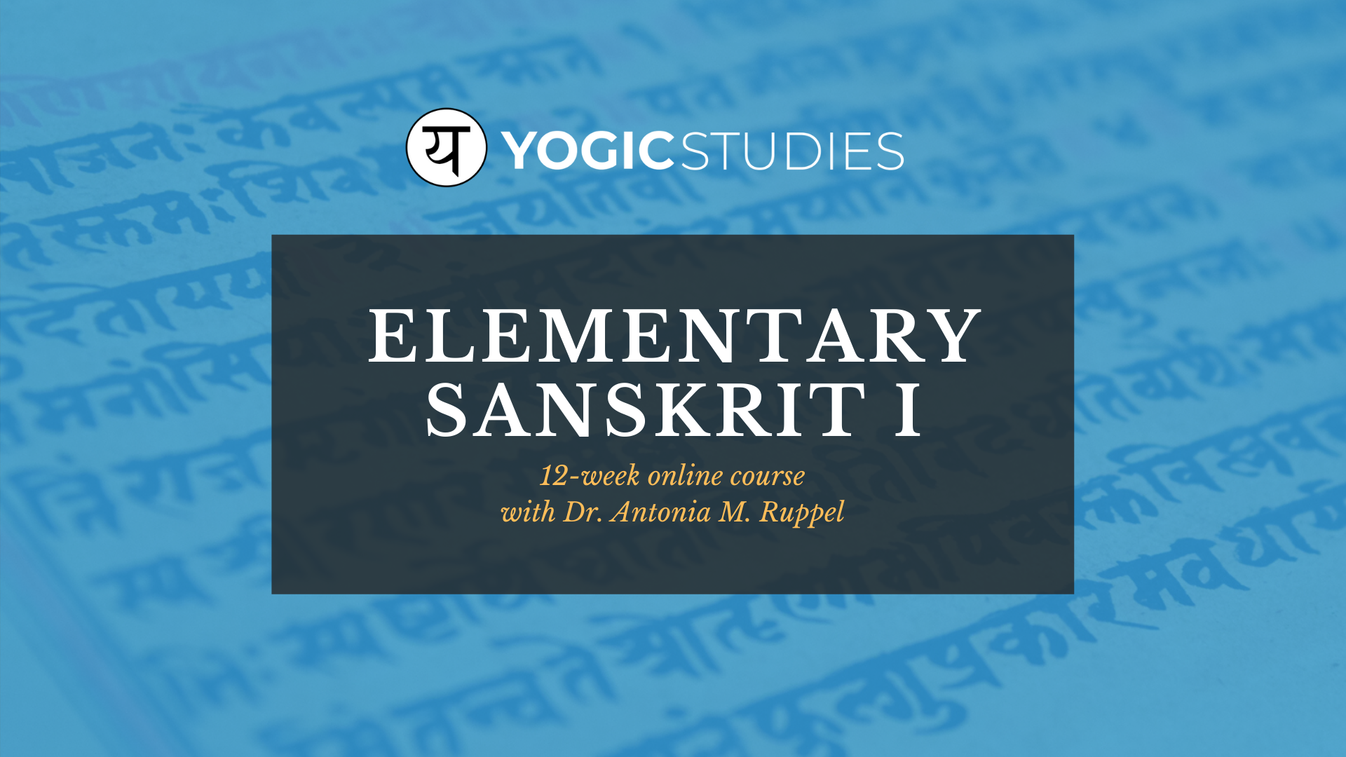 SKT 102 | Elementary Sanskrit II