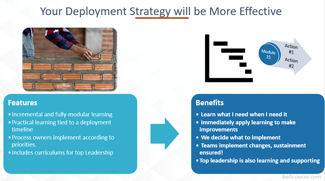 Belt Course - Game-Changer Operational Excellence Coaching Programs