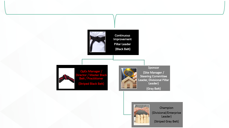 Belt Course - Game-Changer Operational Excellence Coaching Programs