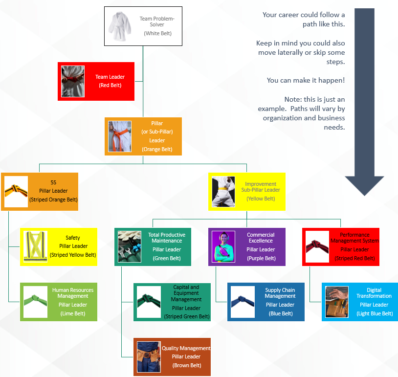 Belt Course - Game-Changer Operational Excellence Coaching Programs
