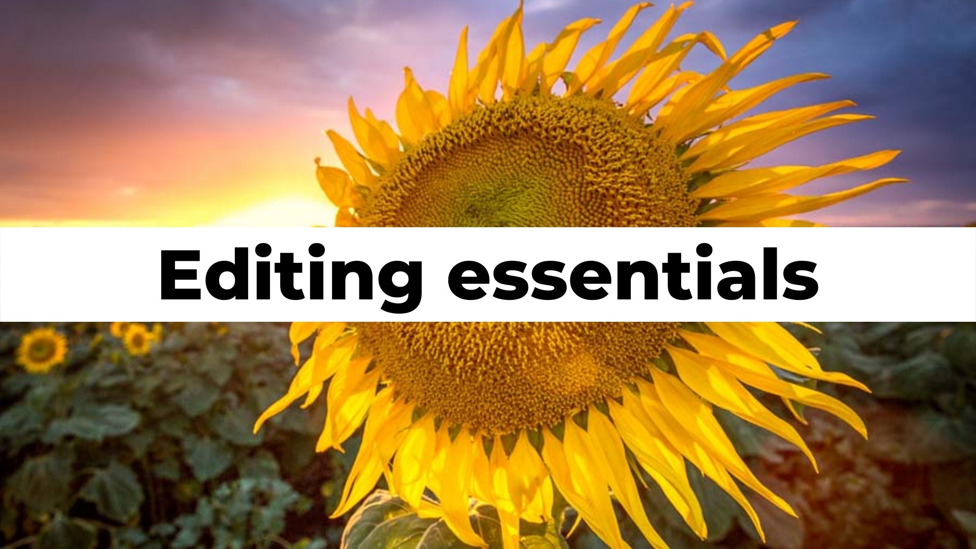 Learn how to easily photograph and edit creative photography tricks.