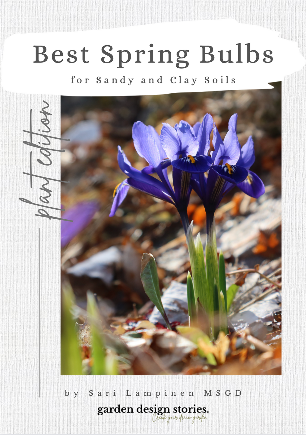 Spring Bulbs for Sandy and Clay Soils