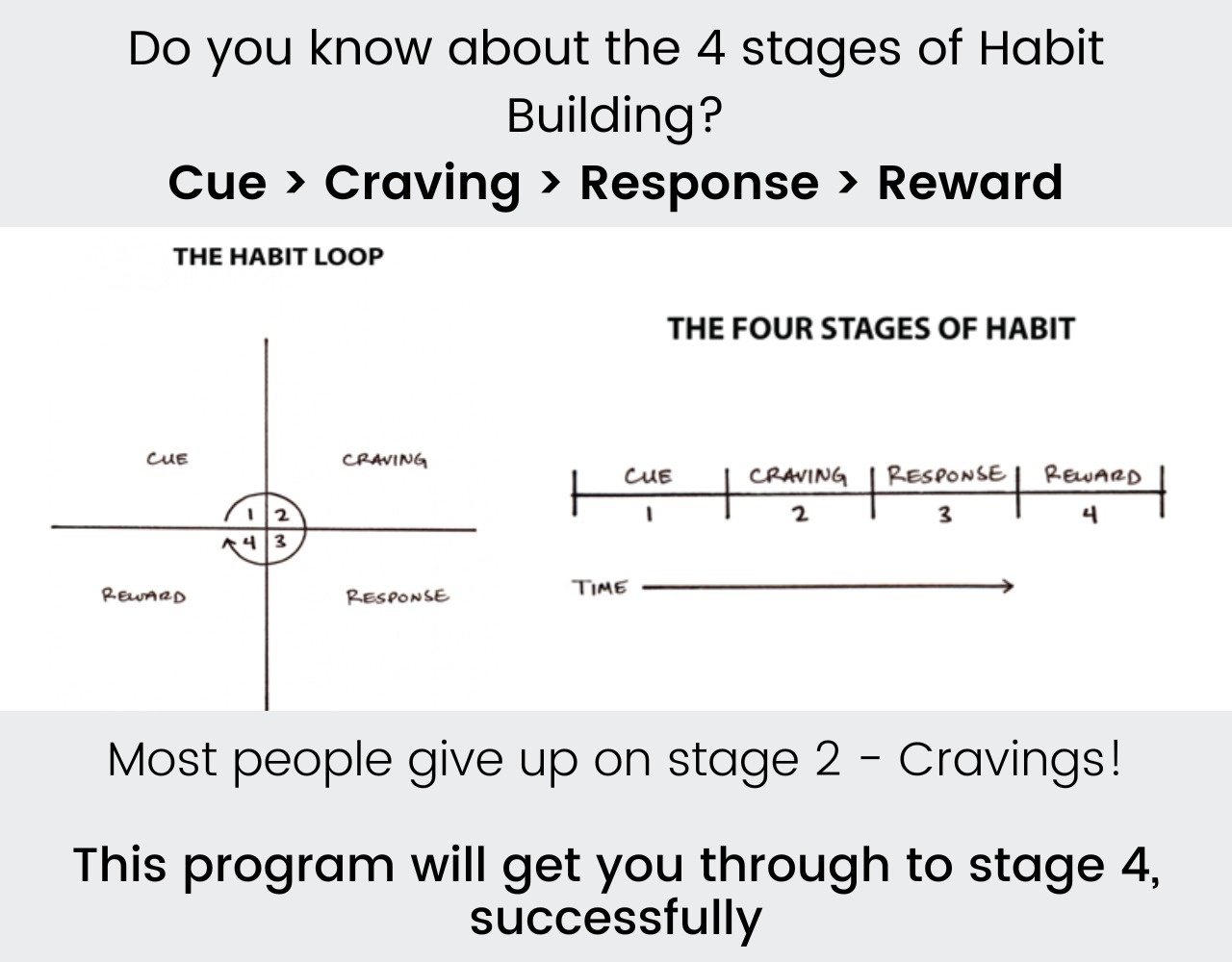 Healthy Habits Building Challenge