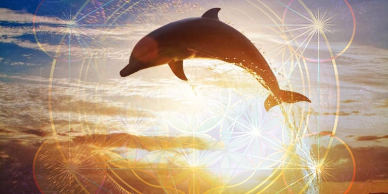 KHONDA DANCE - The Experiential path to Spiritual Awakening