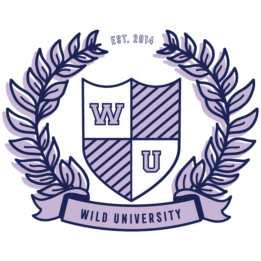 10 Things to Do in Austin Texas during GO Wild