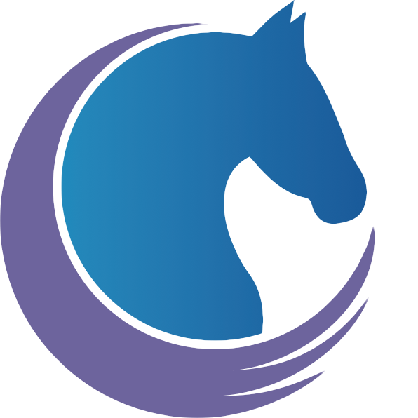 Train Your Seat with Franklin Method Equestrian