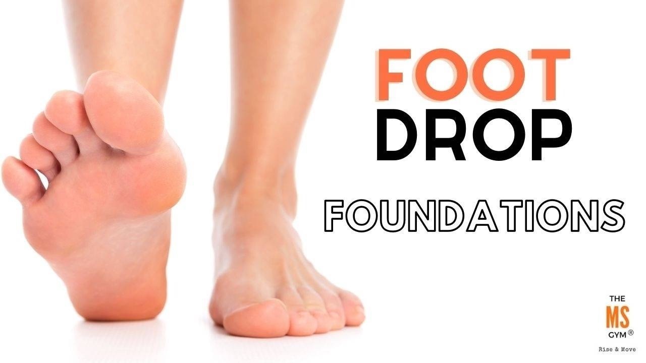 MS Gym Exercise Guides