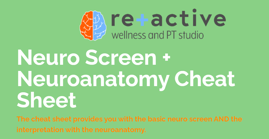 re+active education free downloads