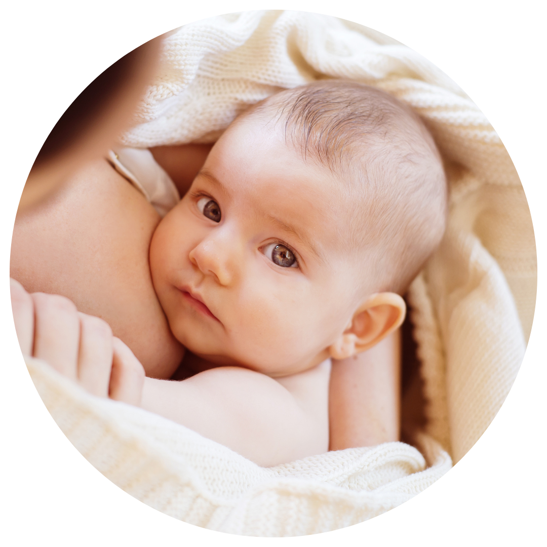 The Breastfeeding Success Membership The Breastfeeding Success Membership