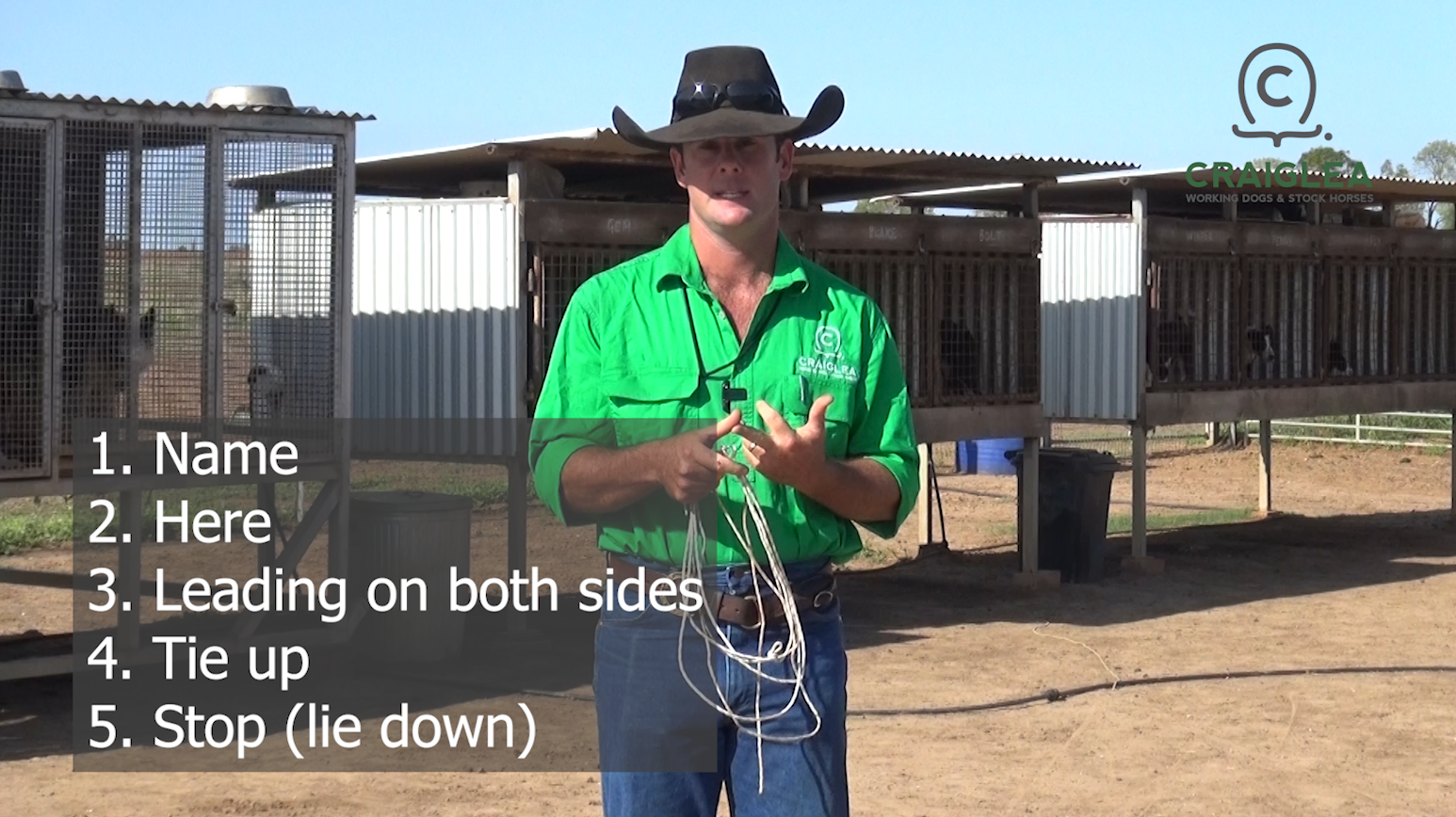 Working Dog Training Online