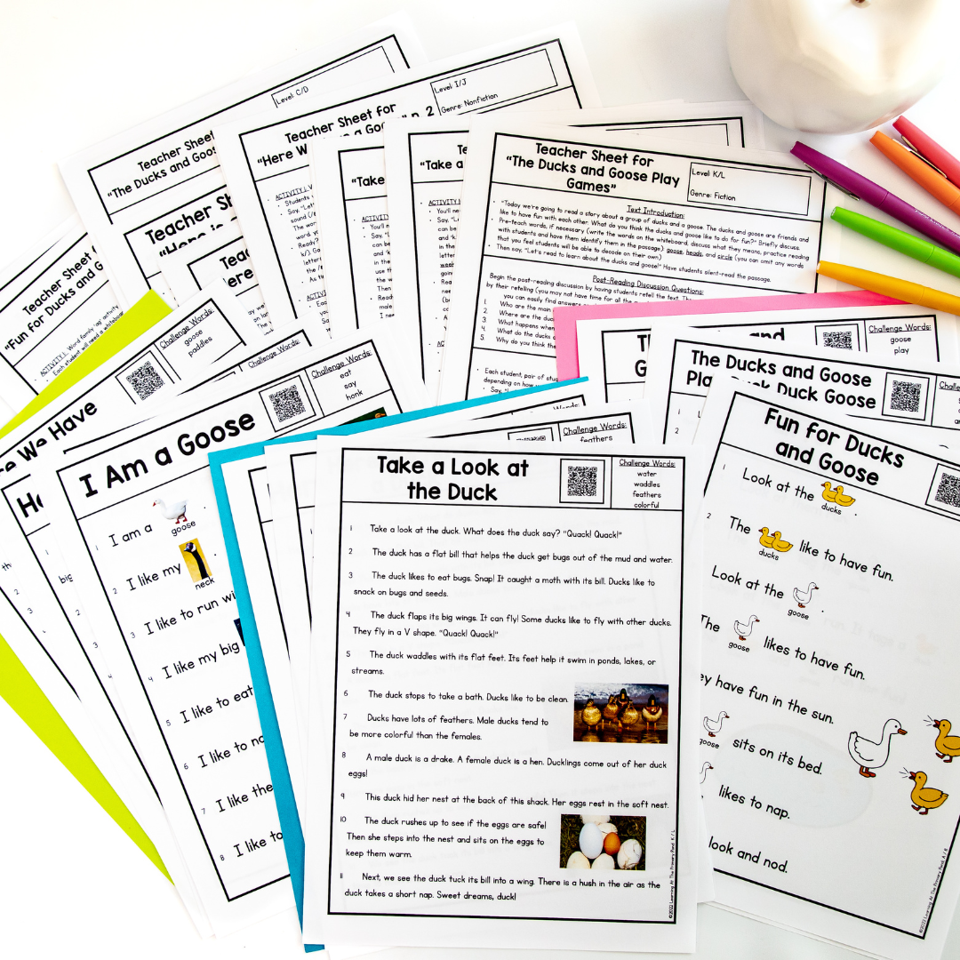 First & Second Grade Literacy Club