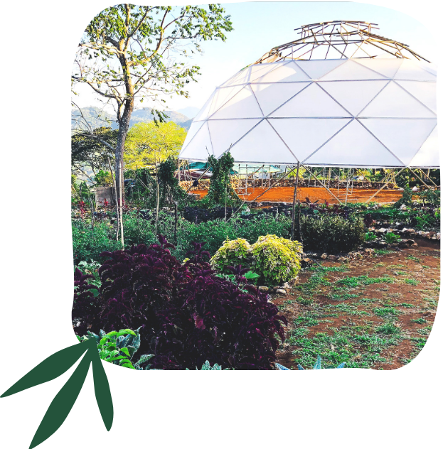 Online Live Permaculture Design Certification | Ecoversity