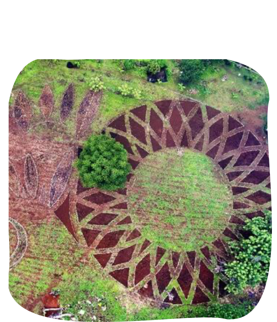 Online Live Permaculture Design Certification | Ecoversity