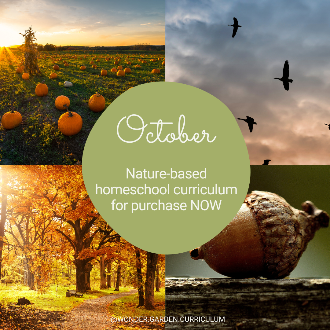 Whole-Child Curriculum for Homeschoolers