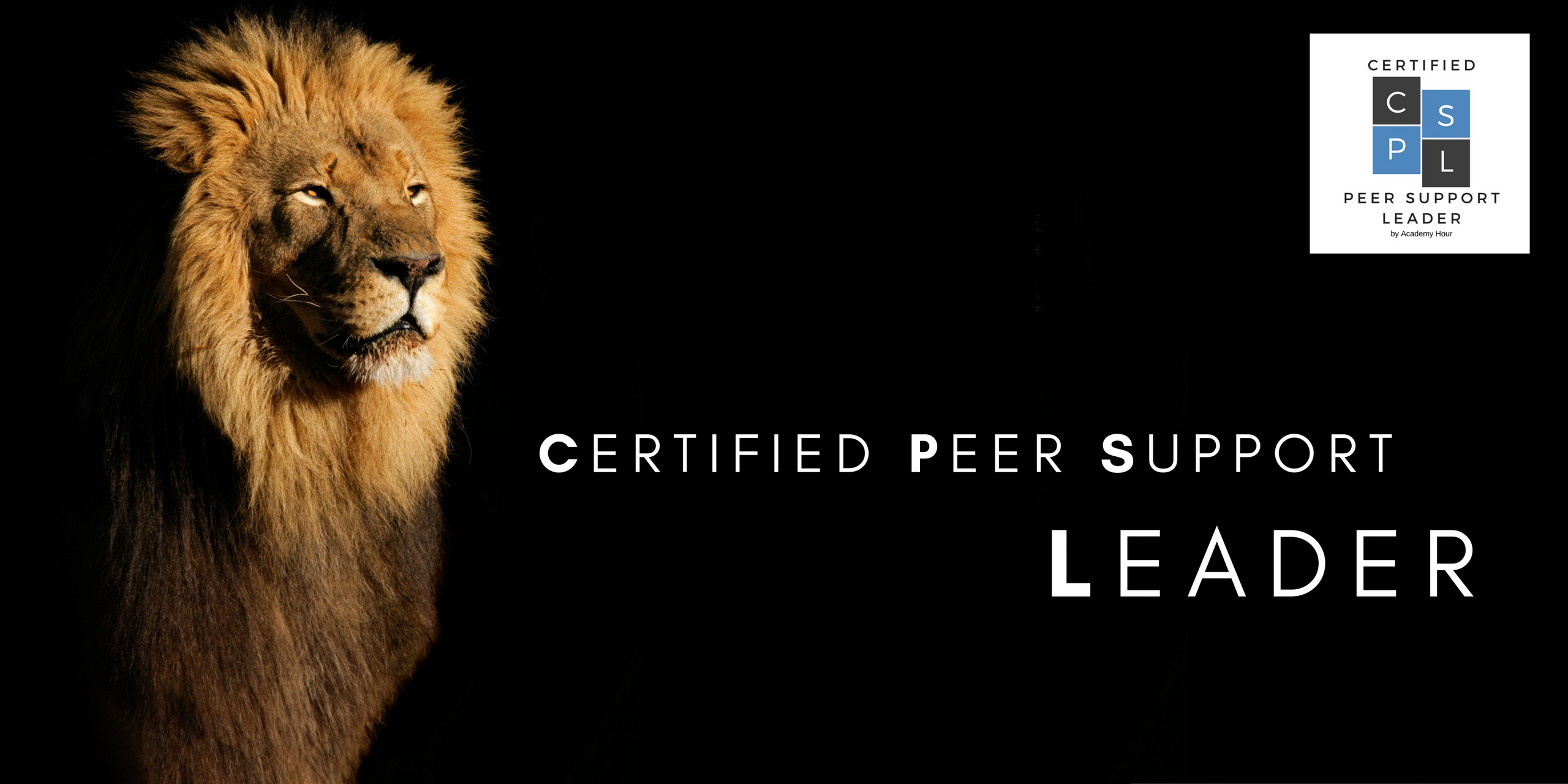 Certified Peer Support Leader