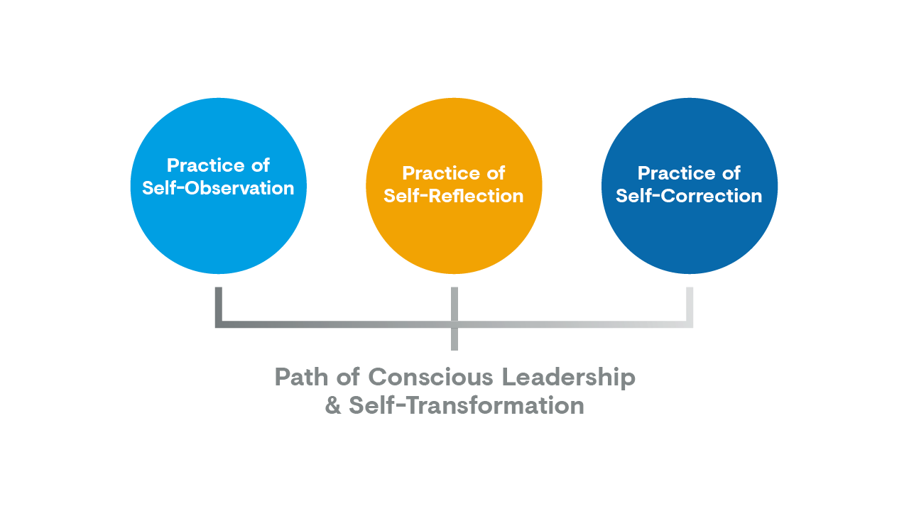 Mastering Conscious Leading and Teaming