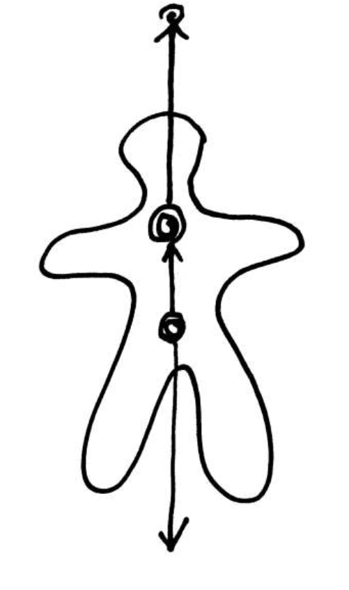 Hara Line Video Lesson