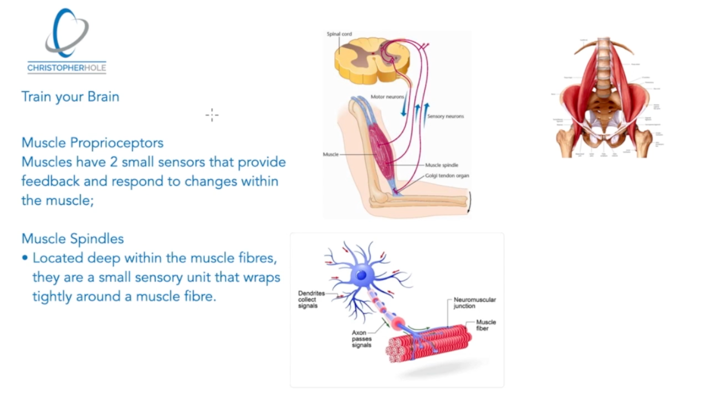 How to correct lordosis 12 week program