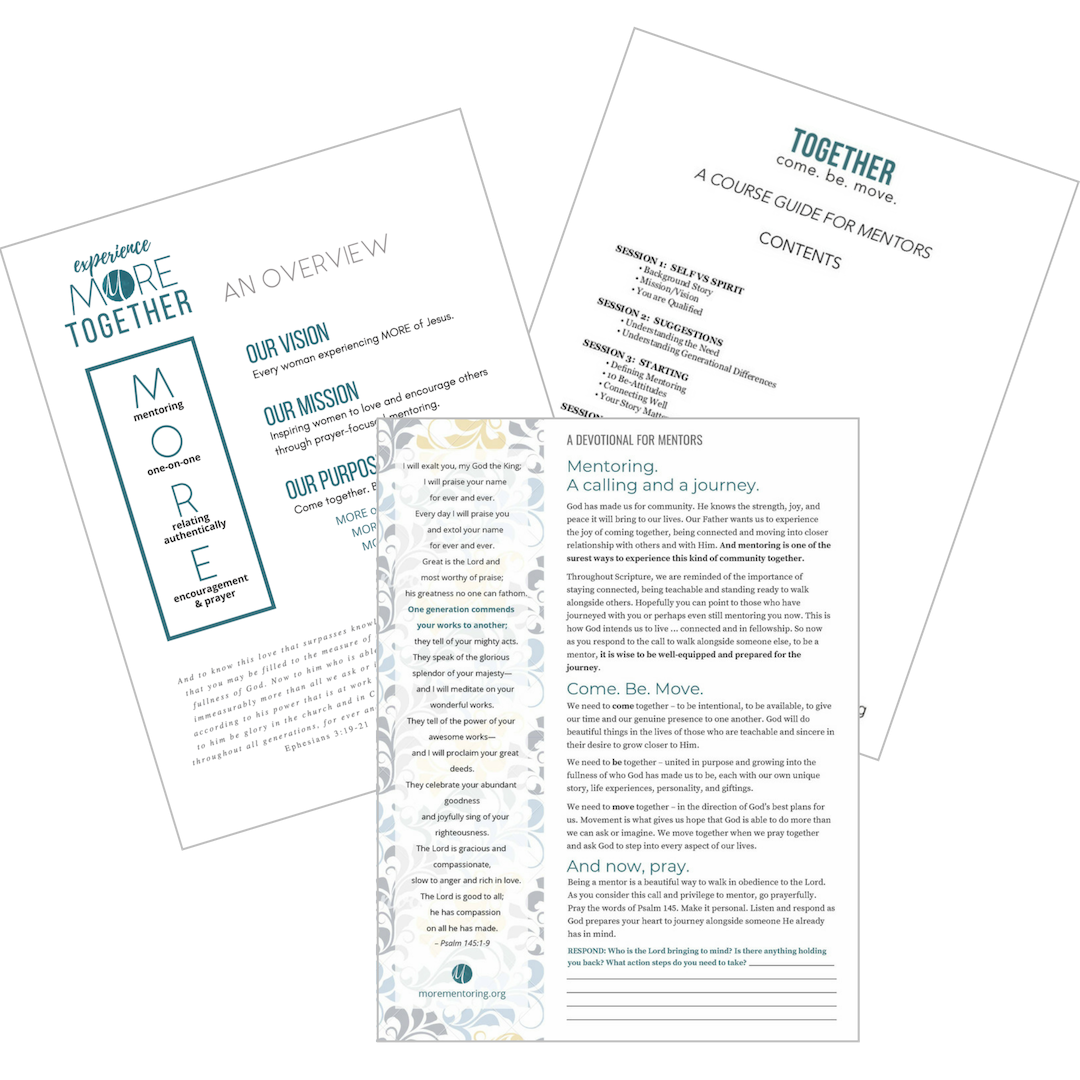 PREVIEW - Mentor Training